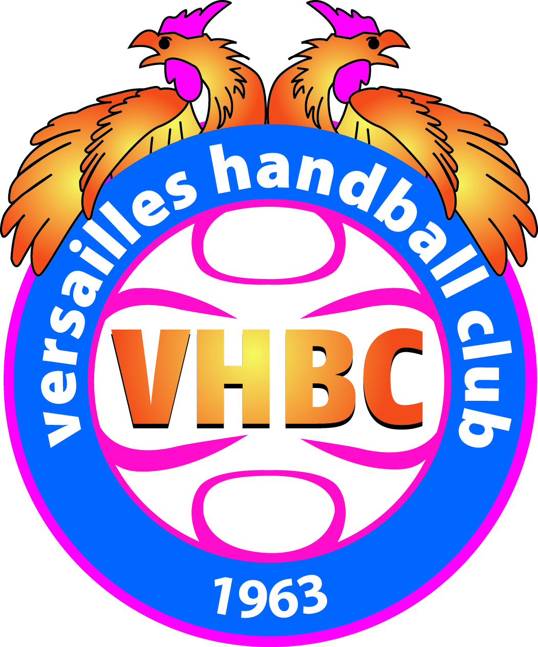 Histoire du Club | Versailles Handball Club
